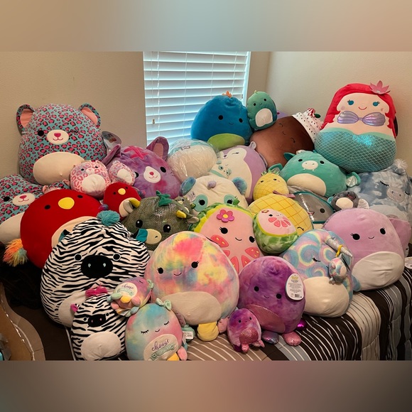 Squishmallows | Toys | Squishmallows Best Variety Bnwt 6 With Matching ...